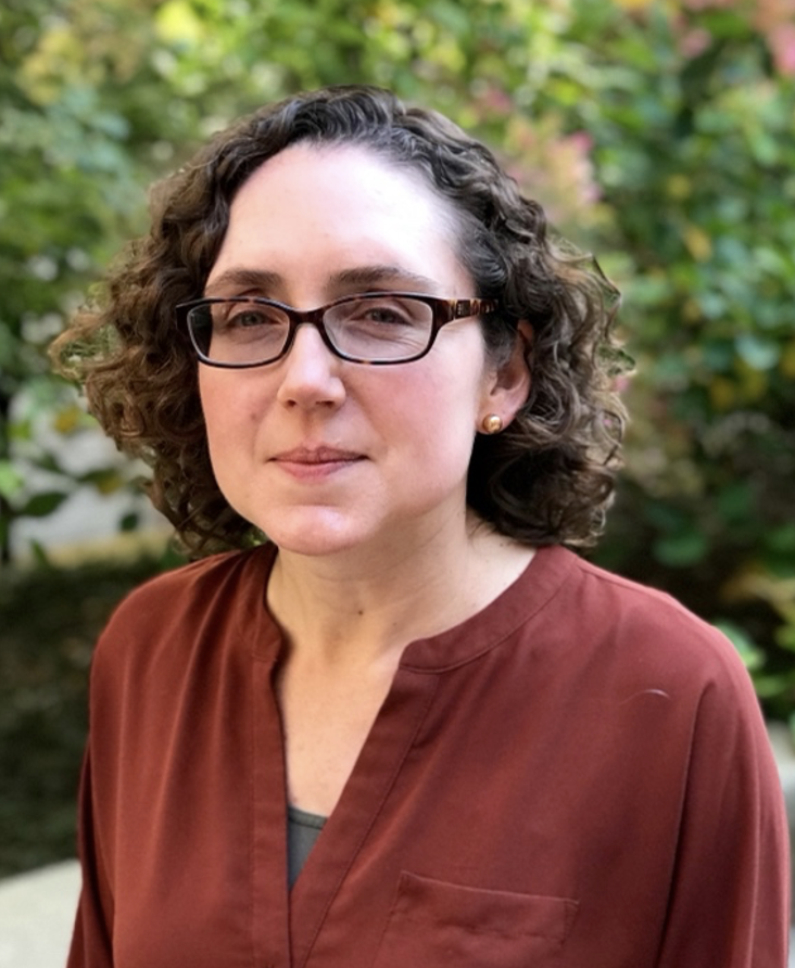 CAMP: Exploring the mesoscopic magnetism of undoped cuprates through ...